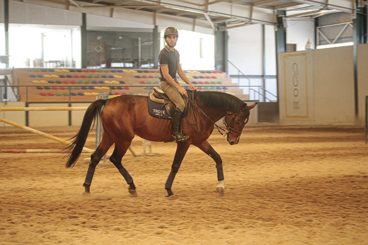 Saúde a galope - Revista Minha